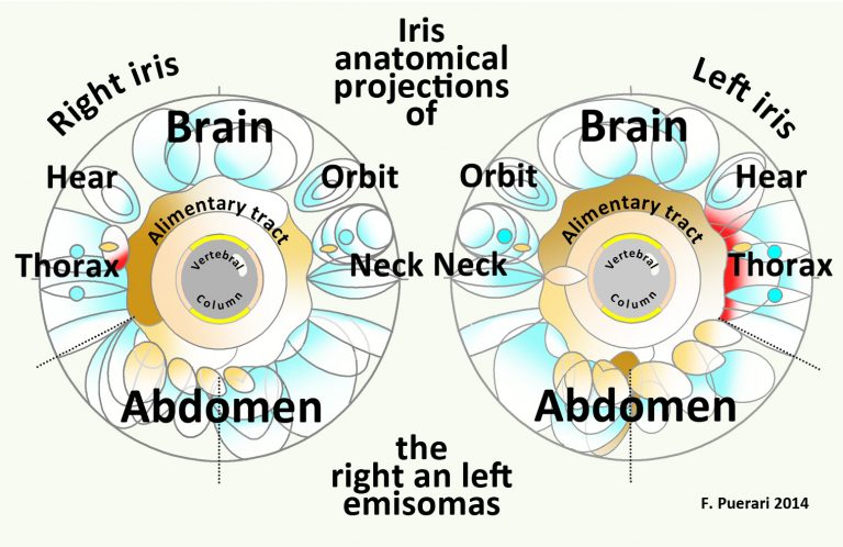 Iris Patterns dictionary
